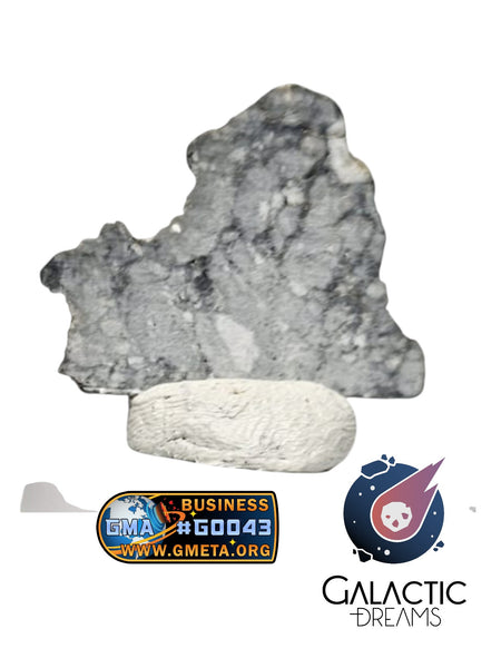 40014 - "The Apollo Lunar" Meteorite Part Slice "Gadamis 008" Lunar fe ...