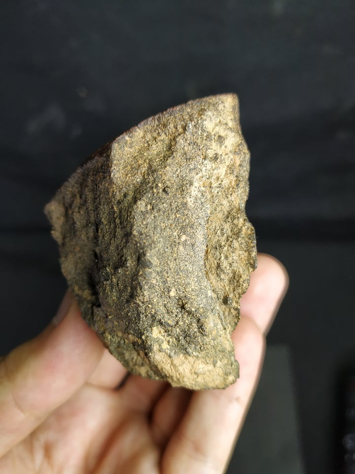 XX1 - Rare Basaltic Diabase. In study. 254g – Jurassic-Dreams.com
