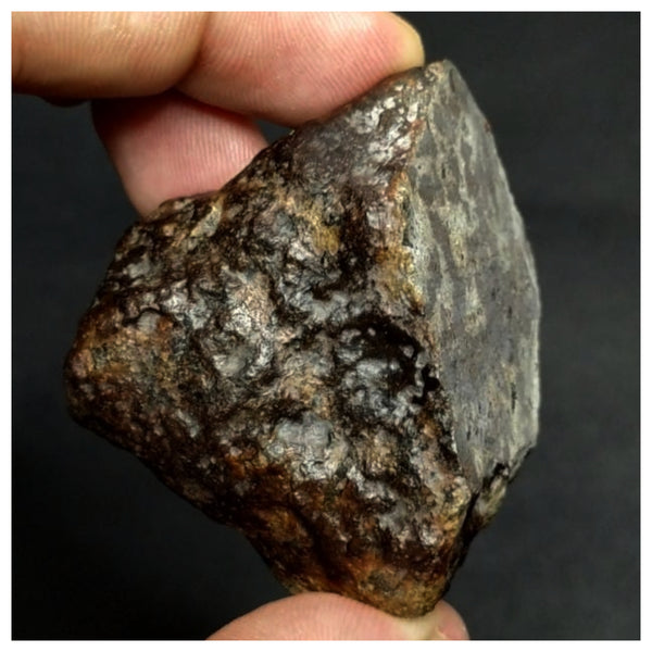 NWA Mesosiderite Meteorite 111g Under Official Classification Process ...