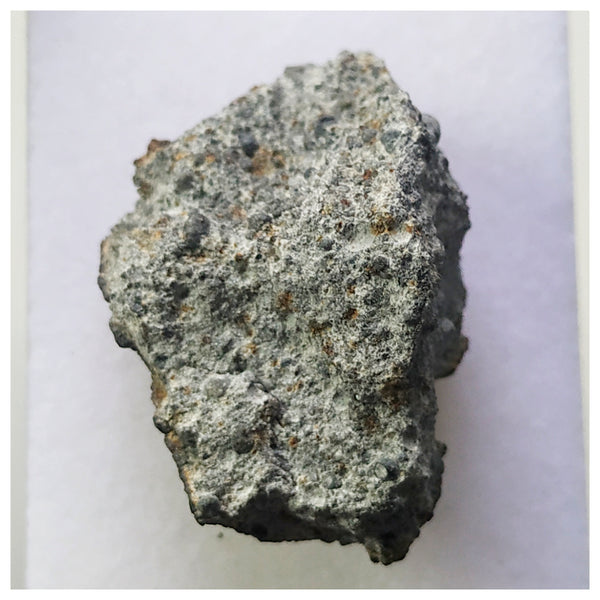 13031 A28- Fresh Crusted NWA 14001 LL4 Ordinary Chondrite Meteorite 11 ...