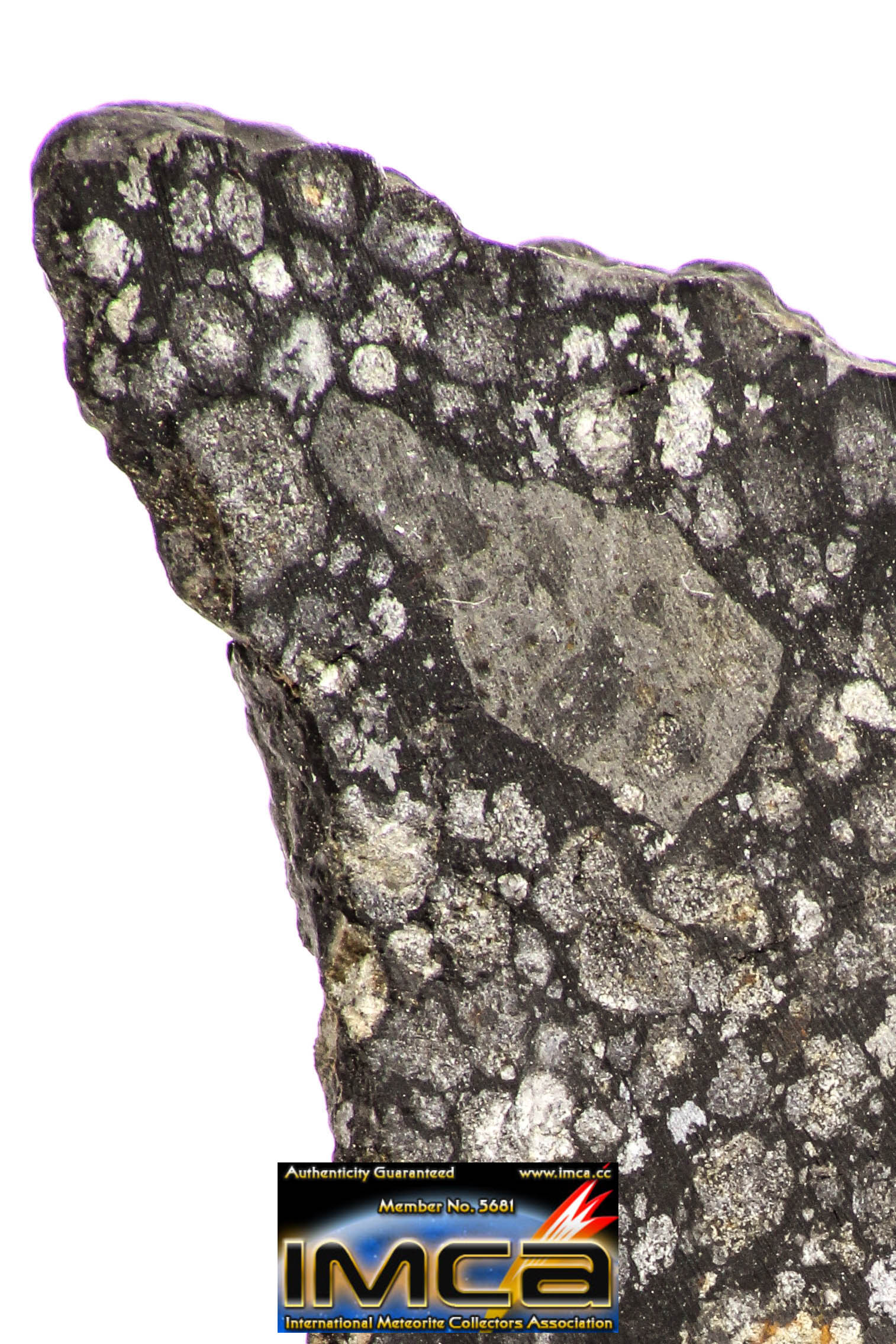 Top Rare Polished Thin Section NWA Carbonaceous Chondrite CV3 Type 5 ...