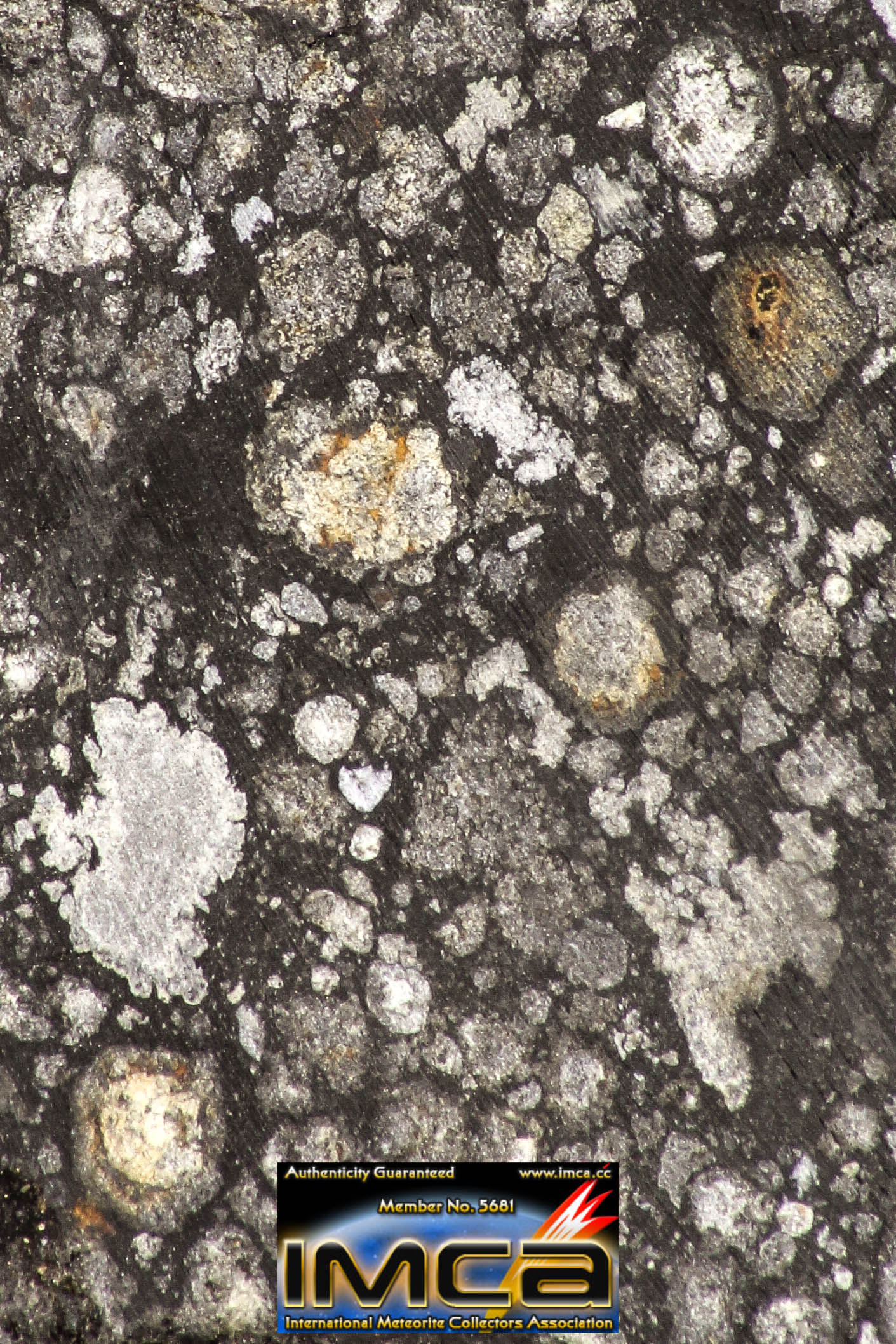 Top Rare Polished Thin Section NWA Carbonaceous Chondrite CV3 Type 5 ...