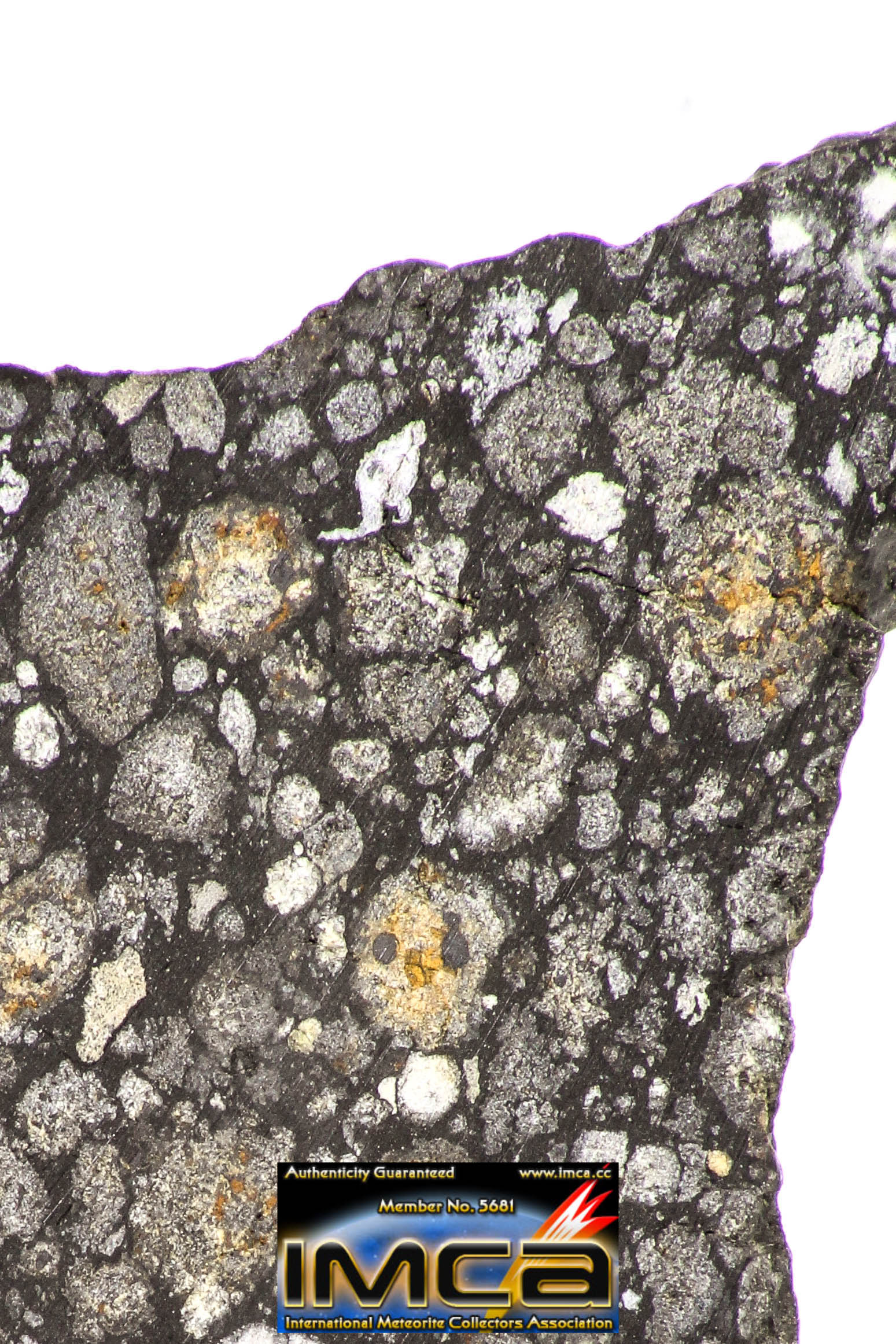 Top Rare Polished Thin Section NWA Carbonaceous Chondrite CV3 Type 5 ...