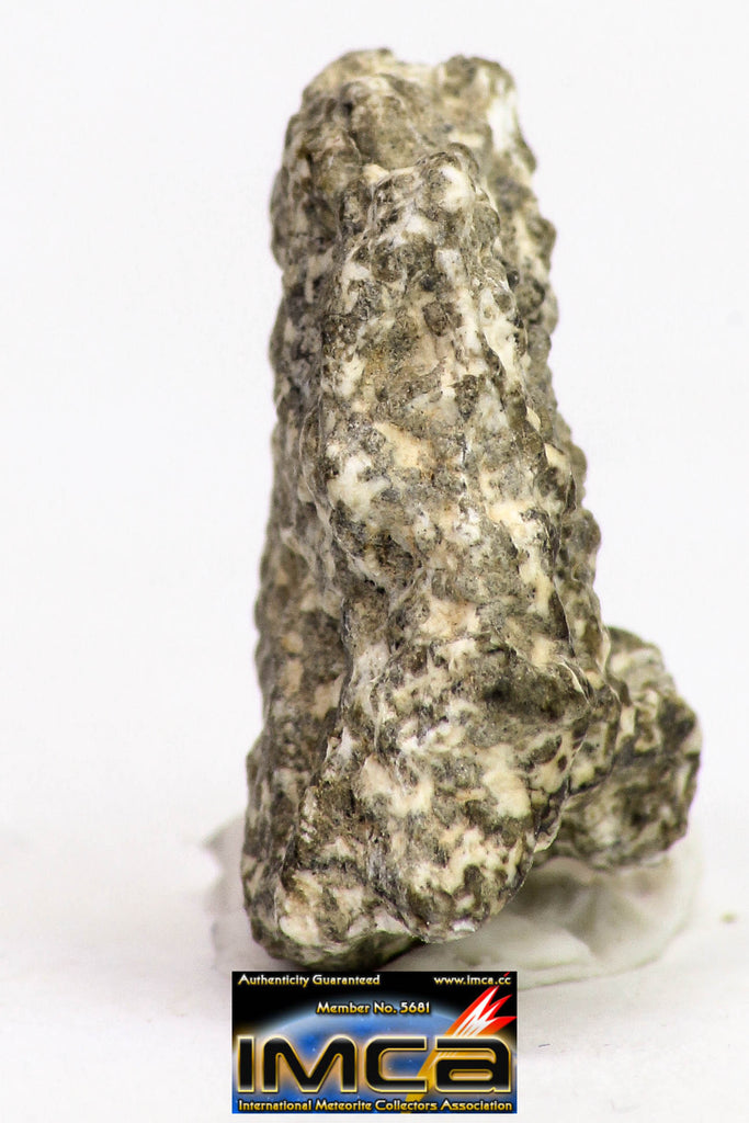 Fragment 1.539 g NWA Monomict Eucrite Achondrite with Fresh Fusion ...