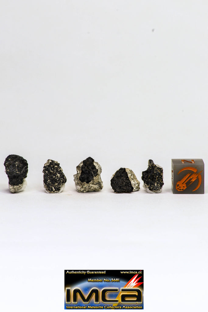 Fragments 3.268 g NWA Monomict Eucrite Achondrite with Fresh Fusion ...