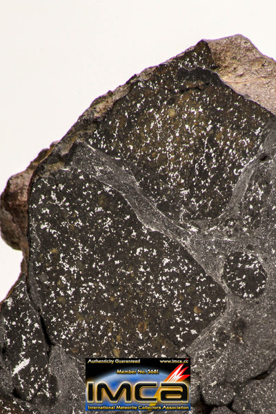 Top Rare NWA IMB Impact Melt Breccia Chondrite Meteorite Polished ...