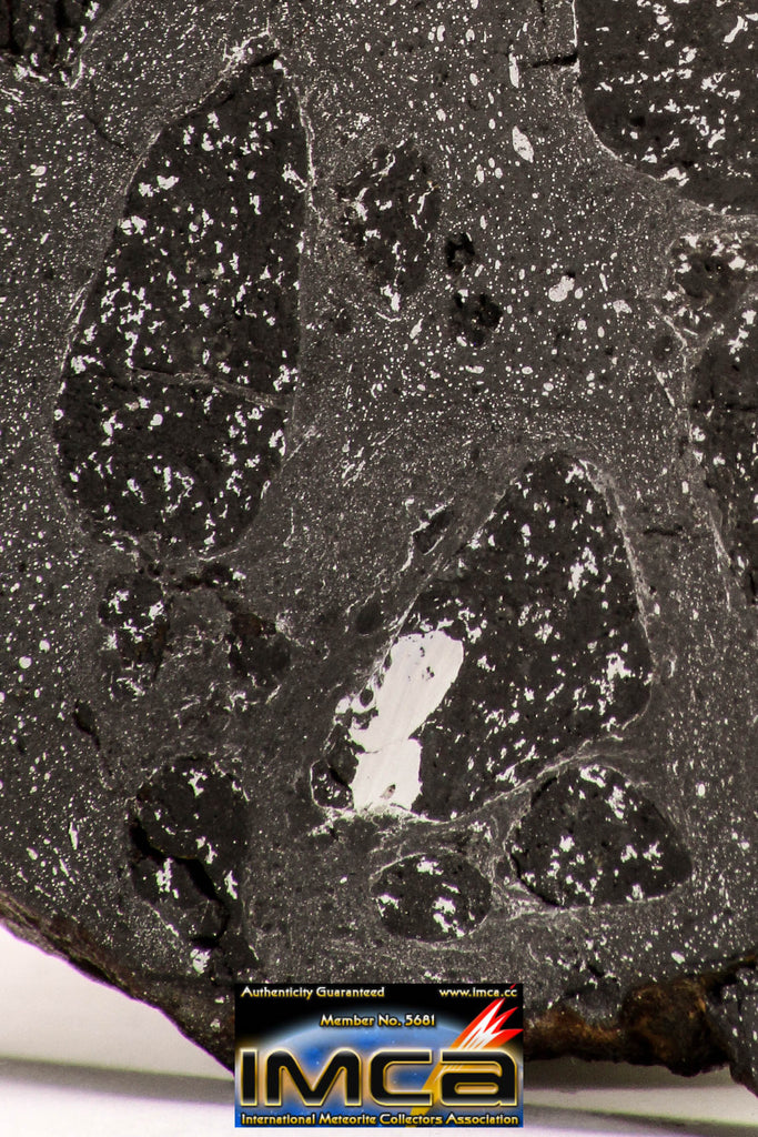 Top Rare NWA IMB Impact Melt Breccia Chondrite Meteorite Polished ...