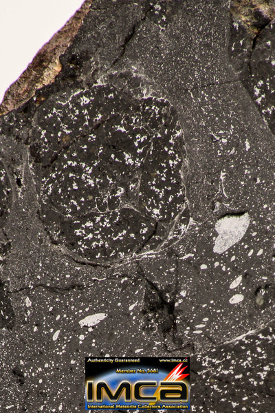 Top Rare NWA IMB Impact Melt Breccia Chondrite Meteorite Polished ...