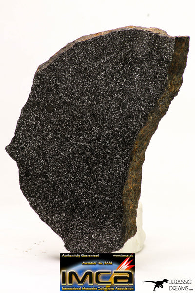 Top Rare Museum Grade NWA Polished Section of Enstatite Chondrite EL6 ...