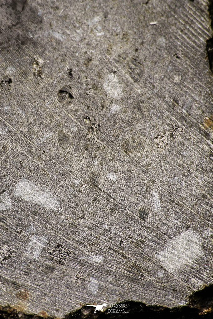 Possible Achondrite of Basaltic composition. In study. 103.6g ...