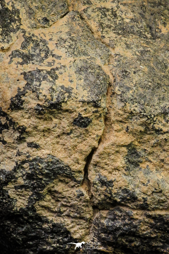 NWA Possible Achondrite Meteorite Porphyritic Basalt. In study. 244.1 g ...