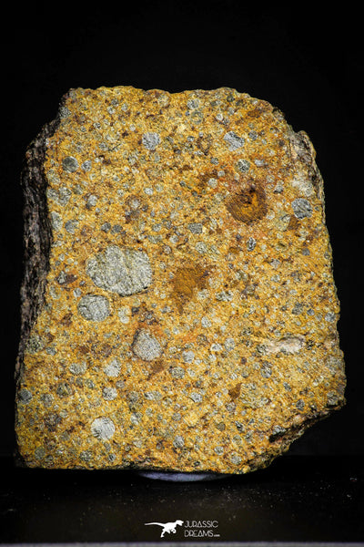 Top Rare NWA Unclassified Chondrite Meteorite L4 Type 32.3g Polished ...