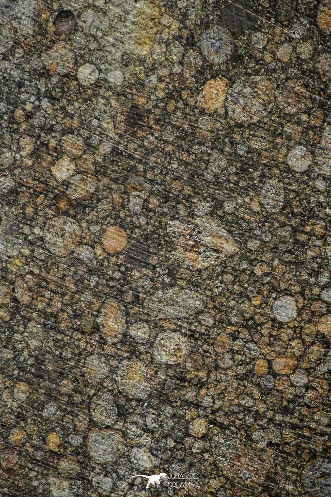 Chondrite LL3.00 Polished Section 50.6g – Jurassic-Dreams.com