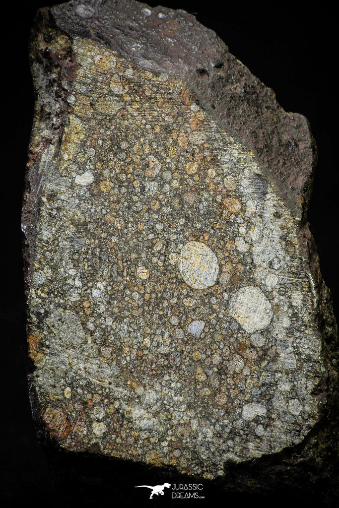 Chondrite LL3.00 Polished Section 50.6g – Jurassic-Dreams.com