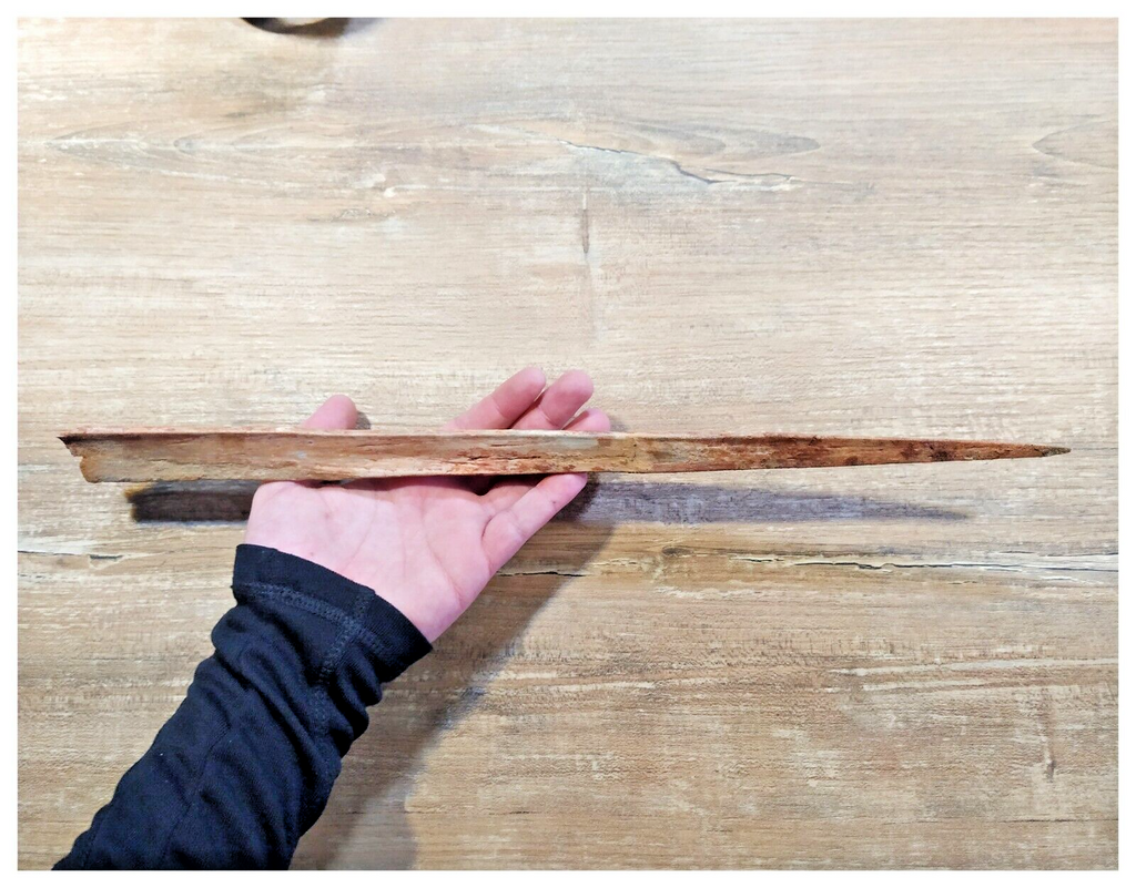 T252 - Museum Grade 16.9'' Cretaceous Azhdarchid Pterosaur Dentary Bon ...