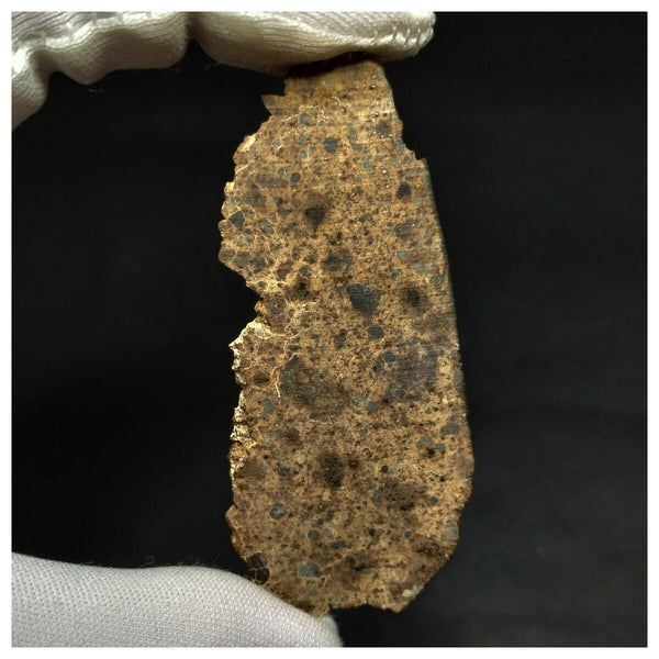 "NWA 13472" LL4-6 Chondrite Meteorite + Meteorite Probably Rumuruti Ch ...